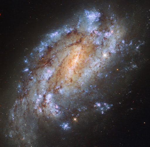 Science Magazine – The GSAL Journal